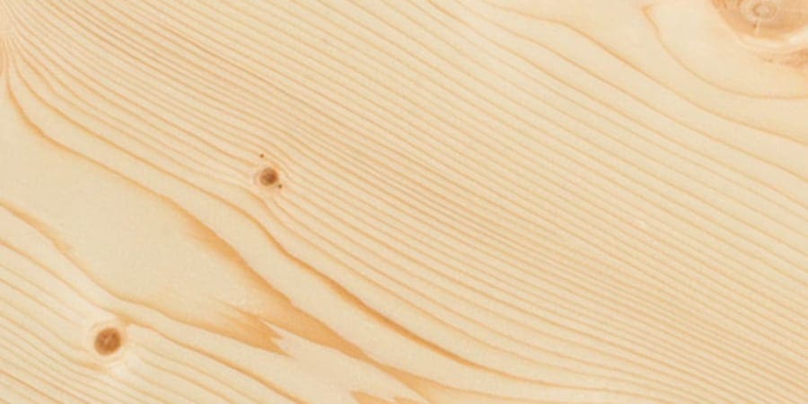 Cusp | Our Timbers